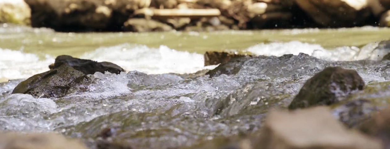 Vision, mission, values - Samaritans Hong Kong